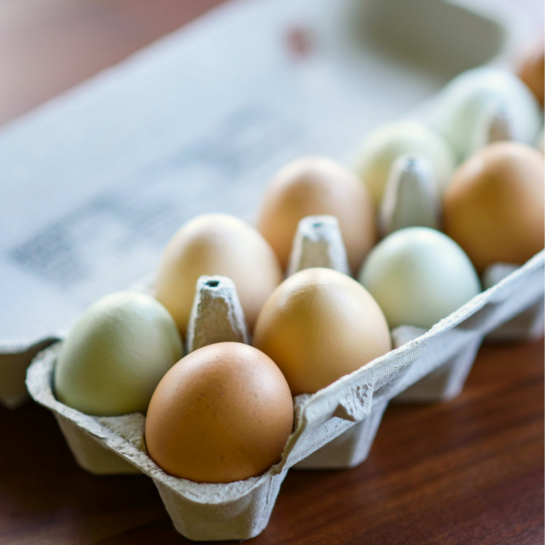 Visit Our Farm Stand Just Off Highway 47 – Source Farms